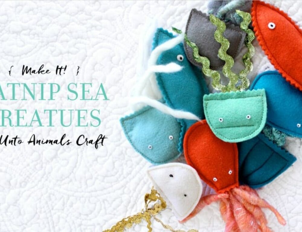 Get Involved: 12 Easy DIY Pet Toys to Donate to Your Local Shelter ...