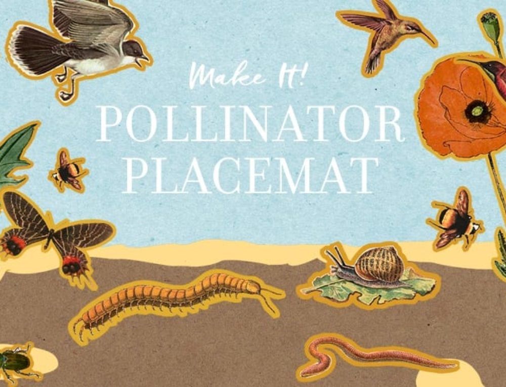 Make It! Paper Crow | Hey Friend Foundation